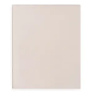 Gingerlily Silk Solid Fitted Sheet, King - Nude