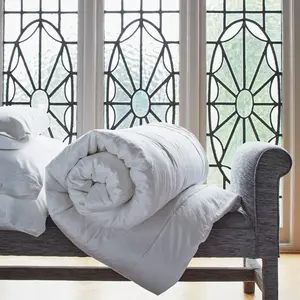 Gingerlily Silk Filled Summer Weight Comforter, Queen
