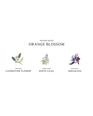 Jo Malone Orange Blossom Classic Candle 7.1 Oz - No Color