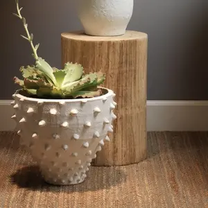 JAMIE YOUNG CO. Agave Side Table - Natural