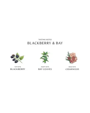JO MALONE LONDON Blackberry & Bay Cologne 1 Oz