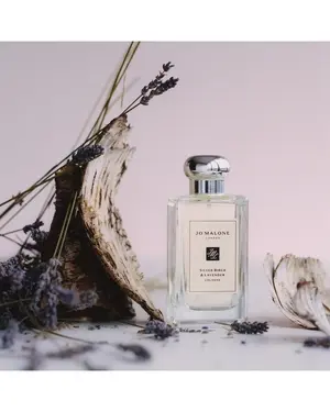 JO MALONE LONDON Silver Birch & Lavender Cologne 1 Oz