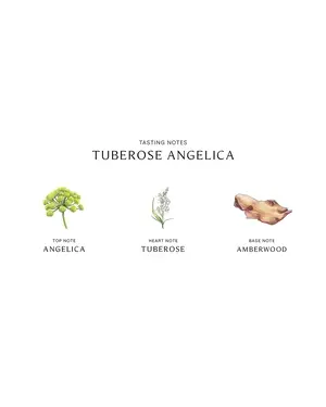 Jo Malone Tuberose Angelica Cologne Intense 1.7 Oz - No Color