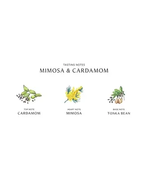 Jo Malone Mimosa & Cardamom Cologne 3.4 Oz