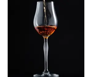 Lalique 100 Points Cognac Glass