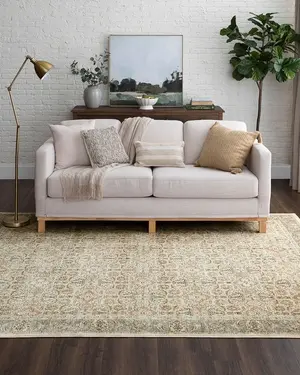 KARASTAN Divina Virtuous Area Rug, 6'6 X 9'6