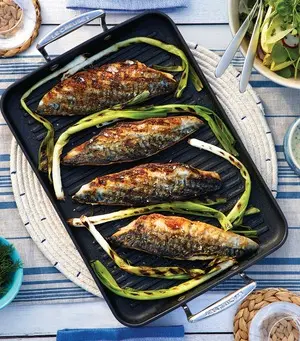 LE CREUSET Toughened Non-stick Ribbed Rectangular Grill