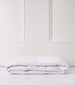 BRINKHAUS Hungarian Goose Down Duvet