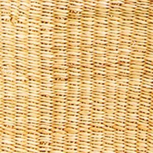 Loewe X Paula's Ibiza Shell Basket Bag