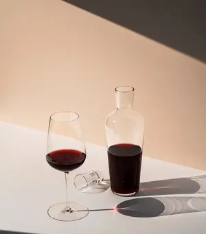 RICHARD BRENDON X Jancis Robinson Original Wine Glasses - Clear