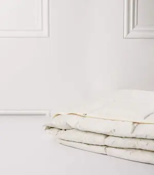 BRINKHAUS Arctic Duck Down Duvet