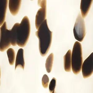 BAOBAB COLLECTION Pearls Maxi Candle