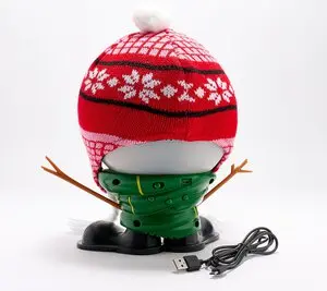 MINDSCOPE Mr. Chill Animated Snowman Figure