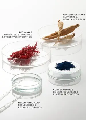 NOBLE PANACEA The Elemental Preparation Essence Refill - Na