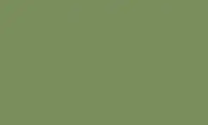 Longchamp Large Le Pliage Green Recycled Canvas Travel Bag