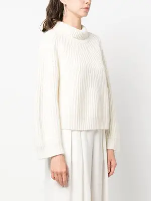 Fabiana Filippi Chunky Ribbed Roll-neck Jumper