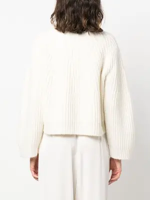 Fabiana Filippi Chunky Ribbed Roll-neck Jumper