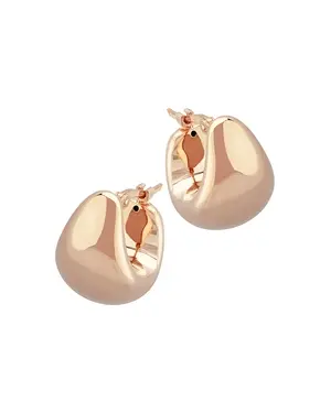 Rose Gold Earrings
