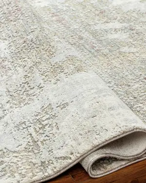 Livabliss Brunswick Bwk-2332 Area Rug, 2' X 3