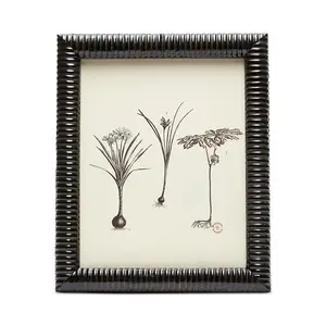PIGEON AND POODLE Metz Lacquered Resin Frame, 8 X 10 - Black