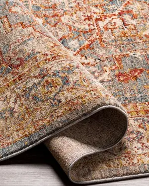 Livabliss Mirabel Mbe 2310 Area Rug, 2'7 X 4