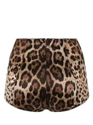 Dolce & Gabbana Leopard-print High-waisted Briefs - Brown