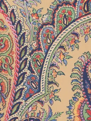 Etro Paisley Print Shirt