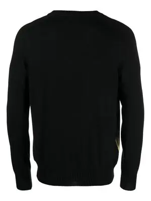 Roberto Cavalli Zebra-print Sweatshirt