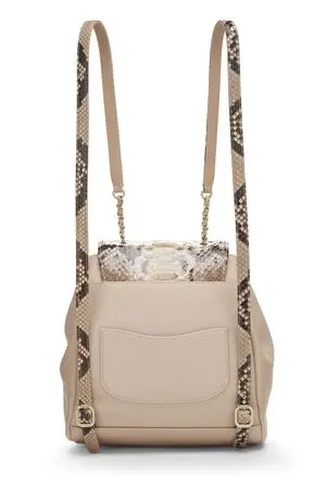 Chanel Caviar & Python Business Affinity Backpack