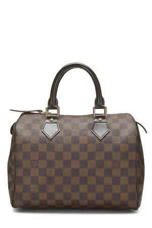 LOUIS VUITTON Damier Ebene Speedy 25