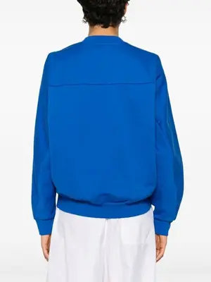 Alexander McQueen Skull-print Sweatshirt - Blue