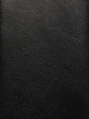 LARDINI Pointed-tip Tie