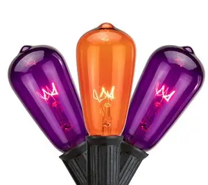 NORTHLIGHT 10ct Purple & Orange Edison E17 Hall Oween Lights - One-color