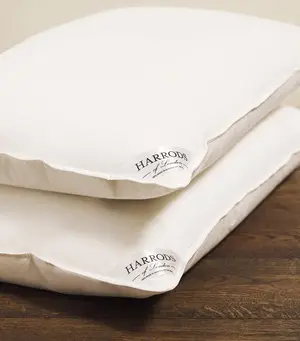 Harrods Anti-allergy Down-filled Pillow