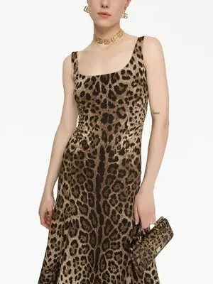 Dolce & Gabbana Leopard-print Midi Dress