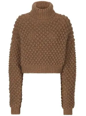 Dolce & Gabbana Roll-neck Cropped Jumper