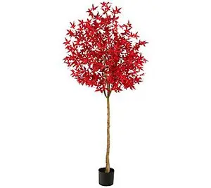 NEARLY NATURAL 6' Autumn Maple Artificial Fall Ee - One-color