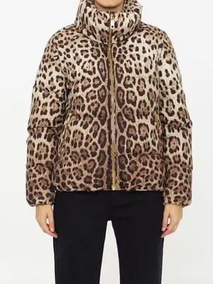Dolce & Gabbana Leo-printed Down Jacket - Multicolor