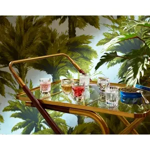 THE MARTHA, BY BACCARAT Take A Shot, Set Of 6