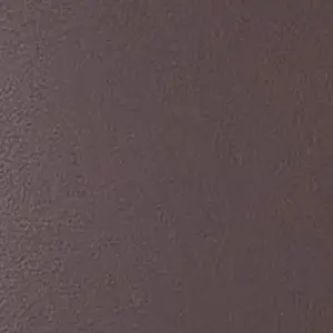 Polo Ralph Lauren Leather Roller Buckle Belt - Brown