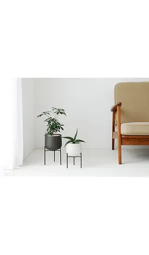 KINTO 5in Ceramic Plant Pot 211 In Cream