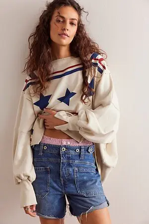 Free People We The Free Graphic Camden Pullover - Stars Stripes Combo