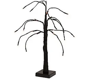 NORTHLIGHT 24' Led Lit Weeping Halloween Twig T Ree - One-color