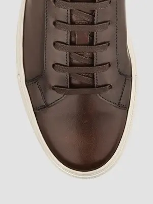 To Boot New York Pescara Leather Low-top Sneakers - Moro