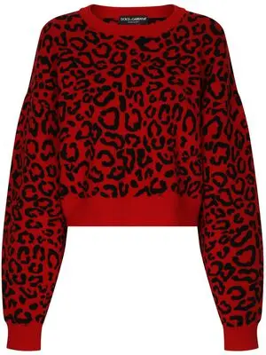 Dolce & Gabbana Leopard-print Jumper