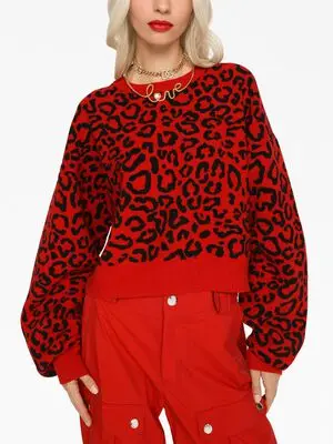 Dolce & Gabbana Leopard-print Jumper