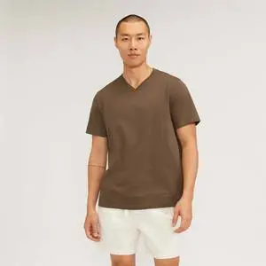 Everlane Essential Organic V-Neck Tshirt Brown