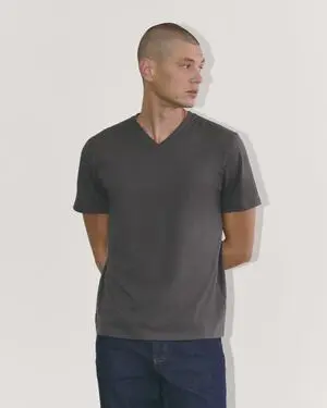 Everlane Essential Organic V-Neck Tshirt Graphite
