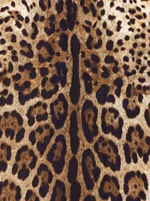Dolce & Gabbana Leopard-print Wallpaper