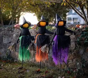 EVERGREEN S/3 Light Up Halloween Witches On Bro Oms Stakes - One-color